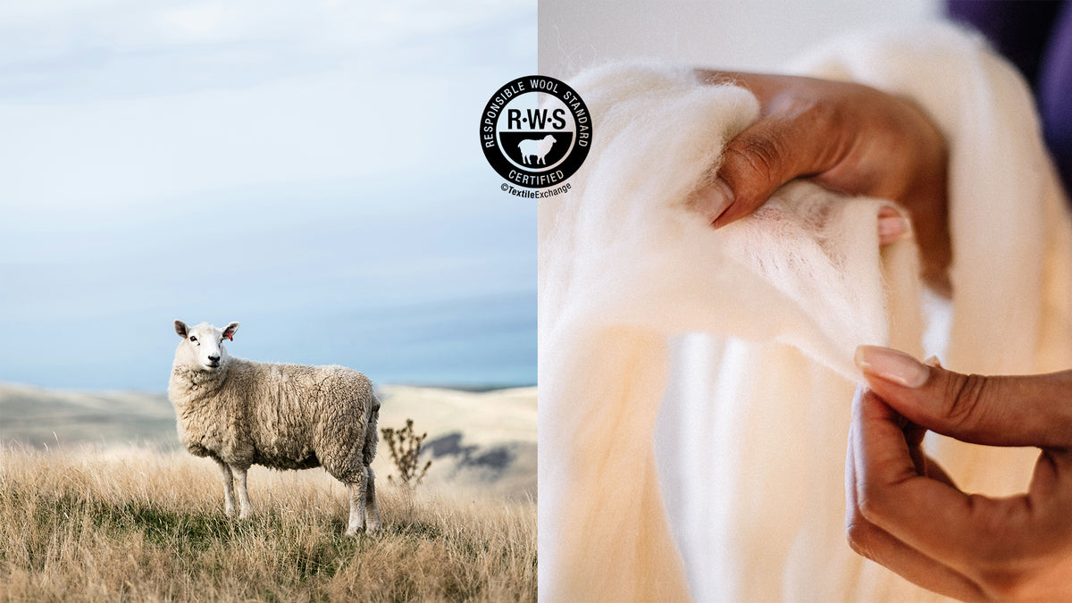 Merino Magic – Woolly Clothing Co